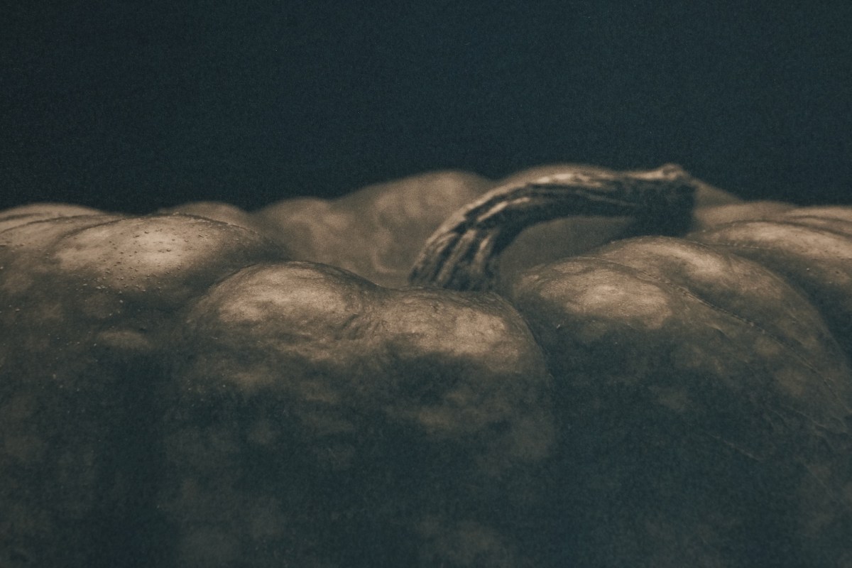 Vegetable Matter – Andrew Sleigh